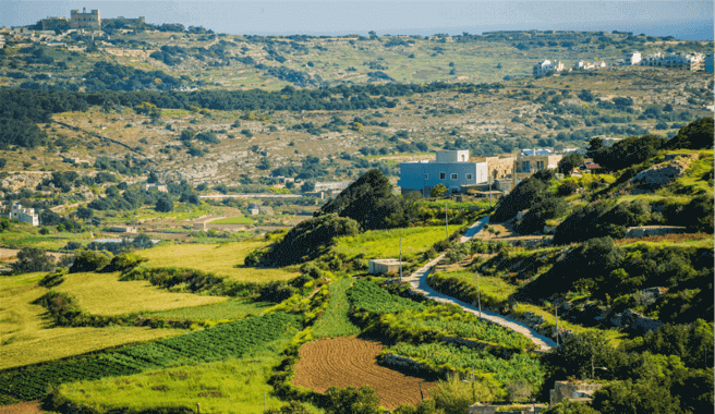 Malta Tour Guide